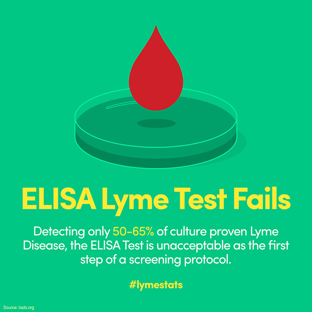 Lyme Facts | LymeLight Lisa